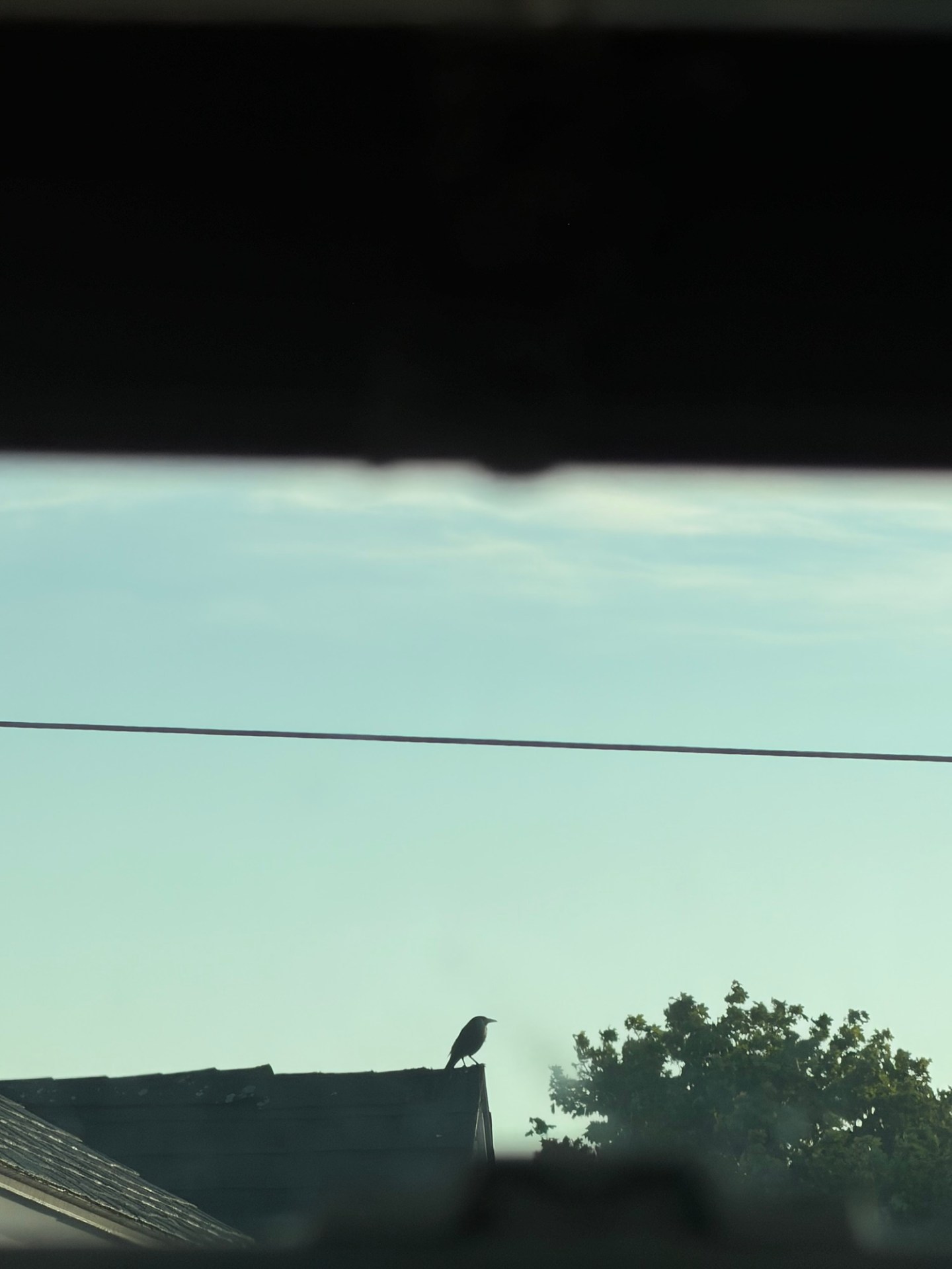 In-between the cracks of an open window – Kelly Severseike